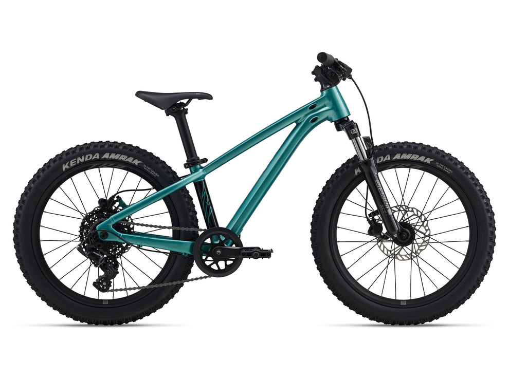 Giant STP 20 FS 2026 – Bicycle Workshop